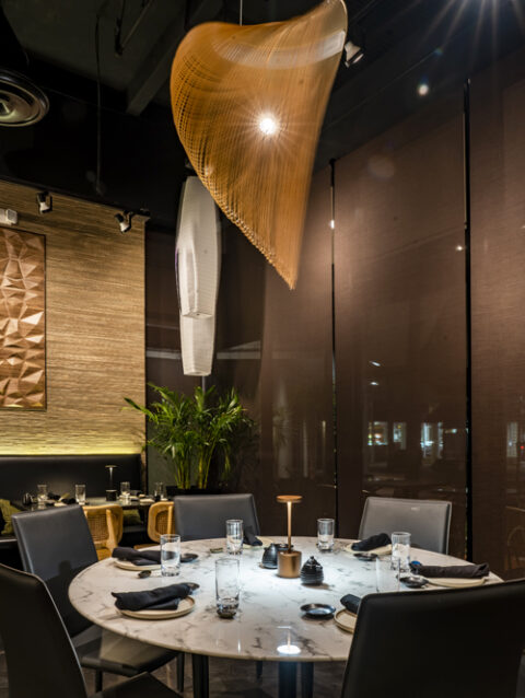 Amazonia – Sushi Nikkei Fusion